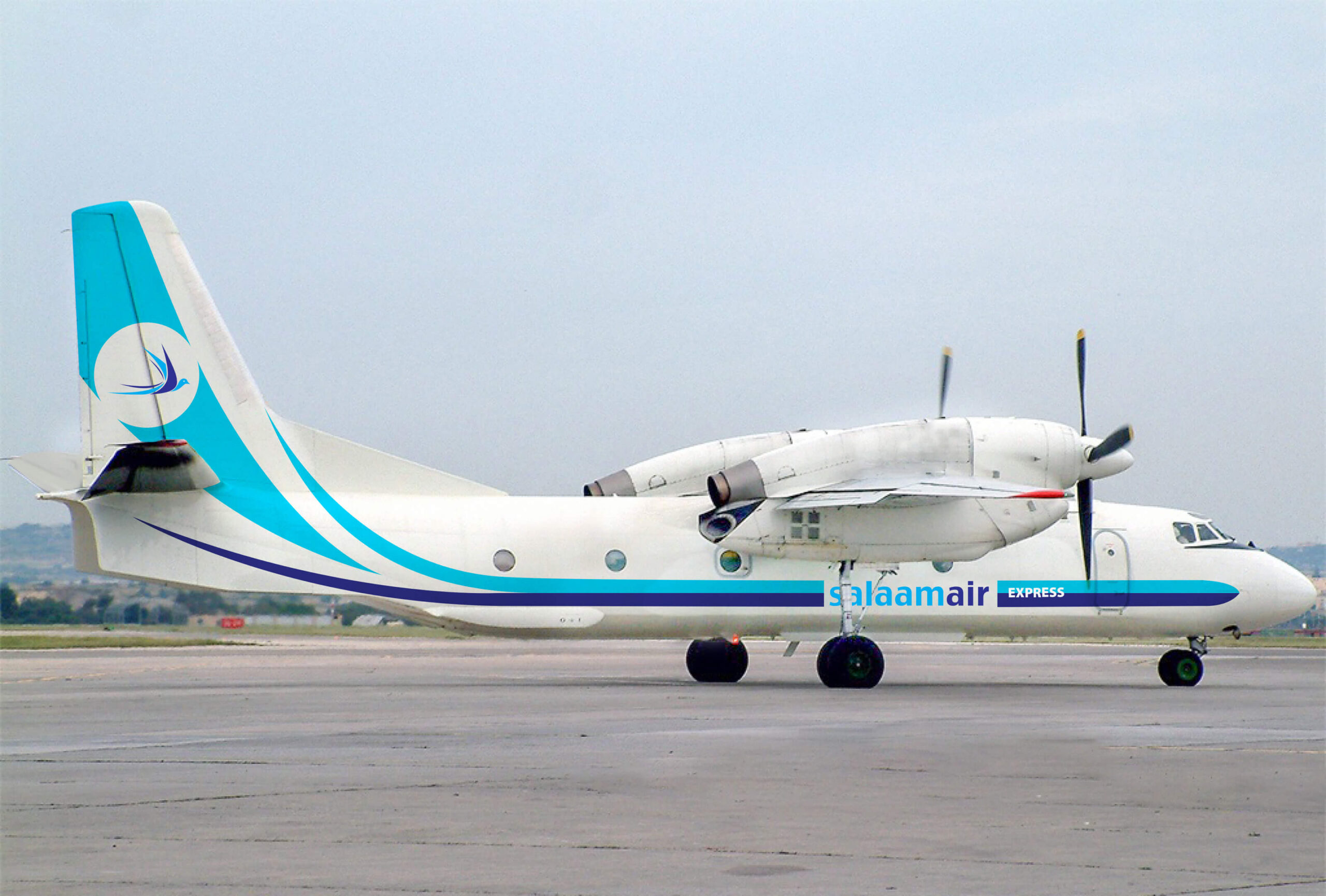 Fleet - Salaam Air Express